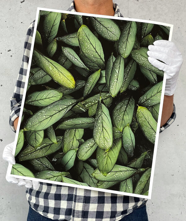 Ilford Galerie Textured Cotton Rag Printing Paper | PosterFactory