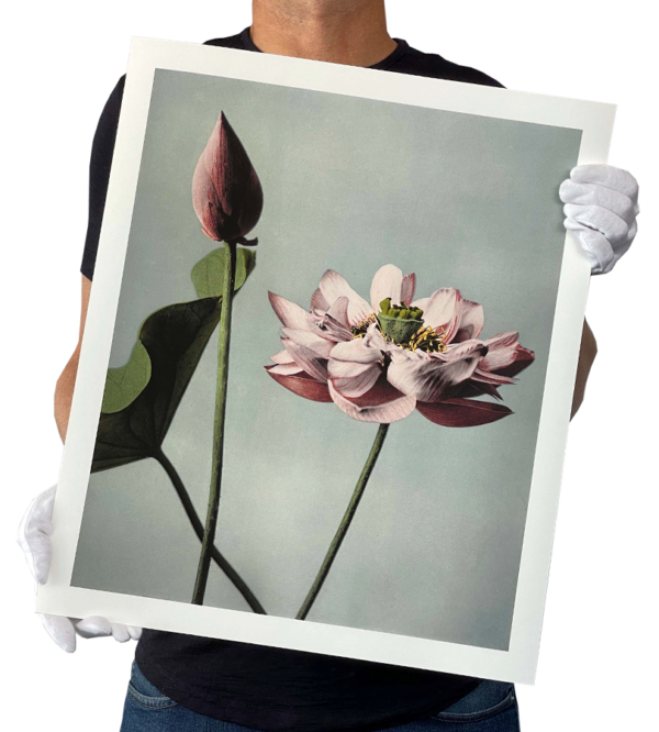 Fine Art Giclée Printing - PosterFactory - Online Poster Printing Fine Art Giclée Printing - PosterFactory - Online Poster Printing