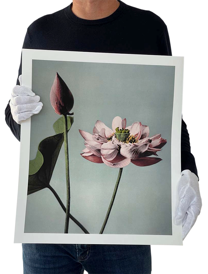 Fine Art Giclée Printing — PosterFactory Fine Art Giclée Printing — PosterFactory