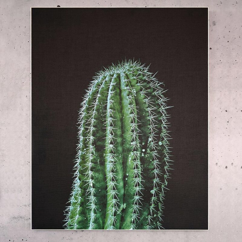 Print+Frame Deluxe - PosterFactory - Online Poster Printing