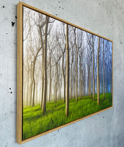 Poster Printing - Low-cost, High Quality Online Poster Printing in ...